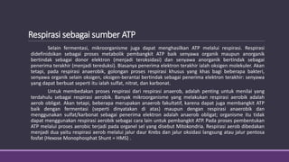 Metabolisme mikroorganisme | PPTX