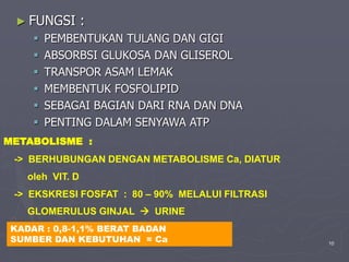 METABOLISME MINERAL.ppt