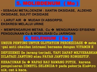 METABOLISME MINERAL.ppt