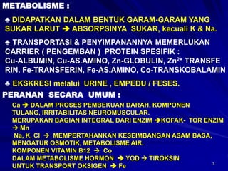 METABOLISME MINERAL.ppt