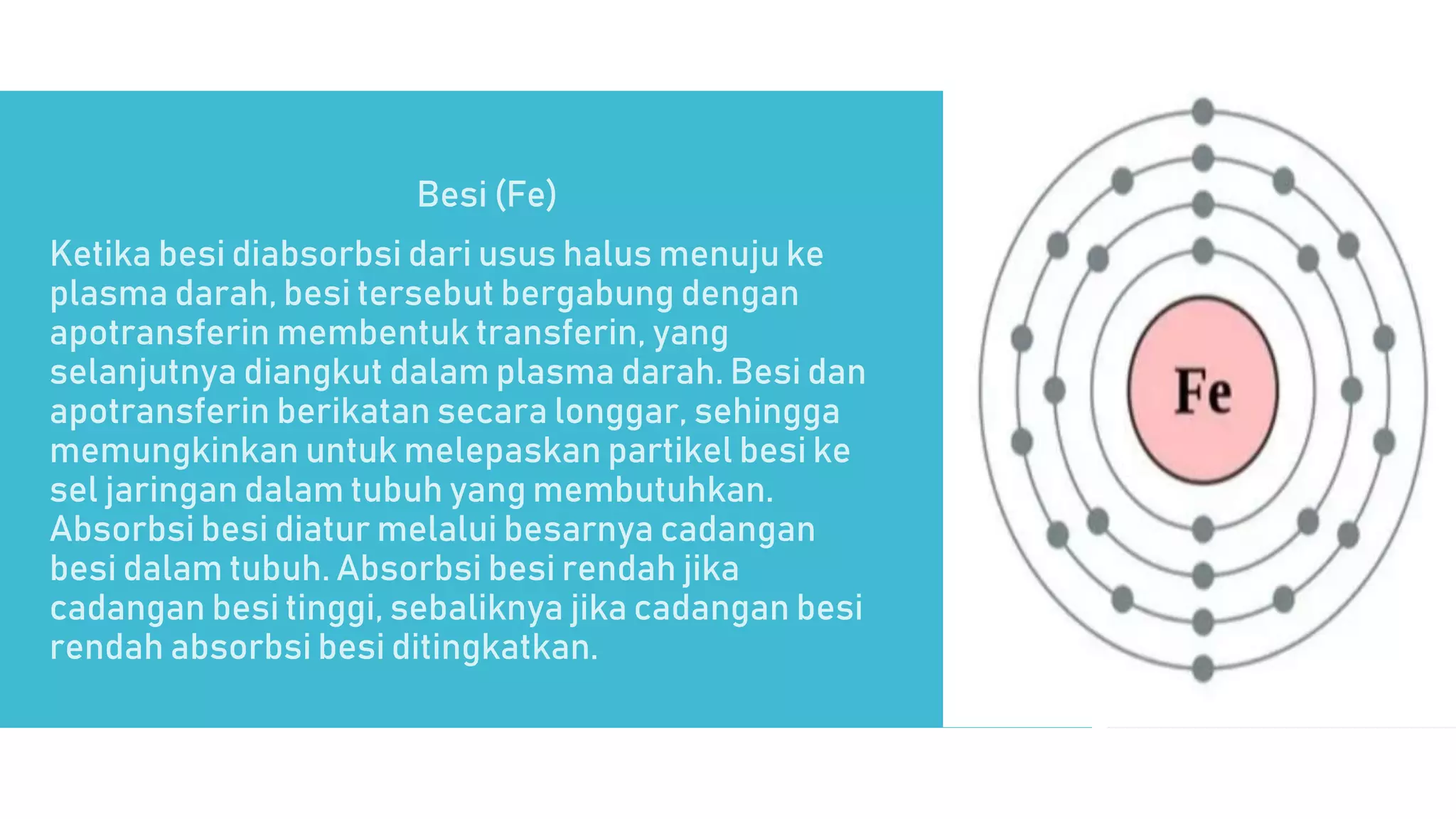 METABOLISME MINERAL.pptx