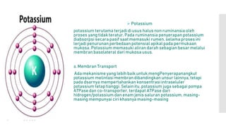 METABOLISME MINERAL.pptx