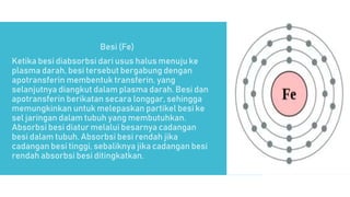 METABOLISME MINERAL.pptx