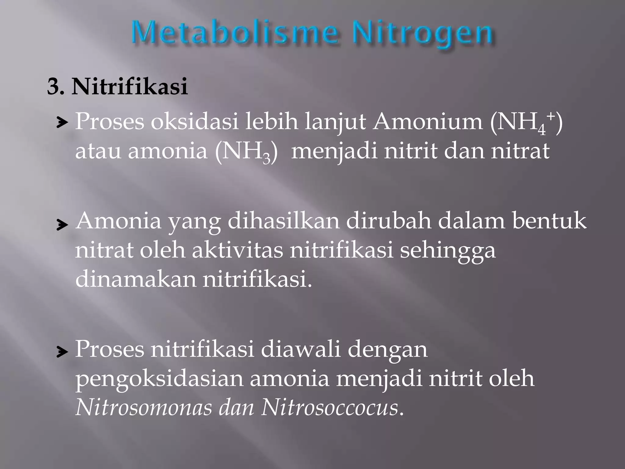 Metabolisme nitrogen.pptx amrul | PDF