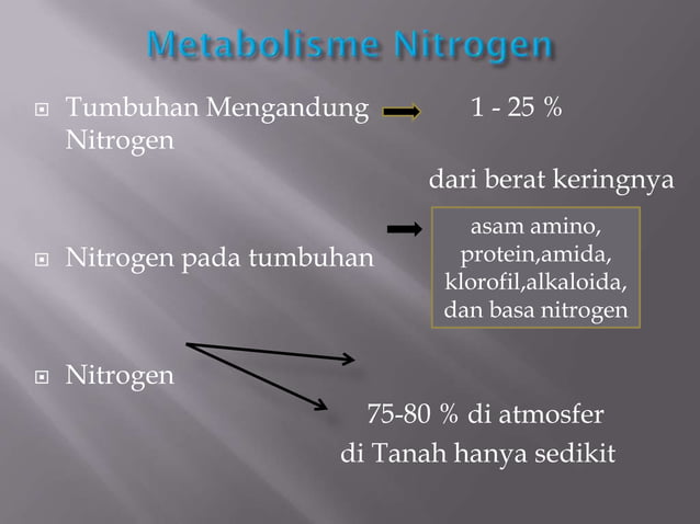 Metabolisme nitrogen.pptx amrul | PDF
