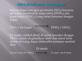 Metabolisme nitrogen.pptx amrul | PDF