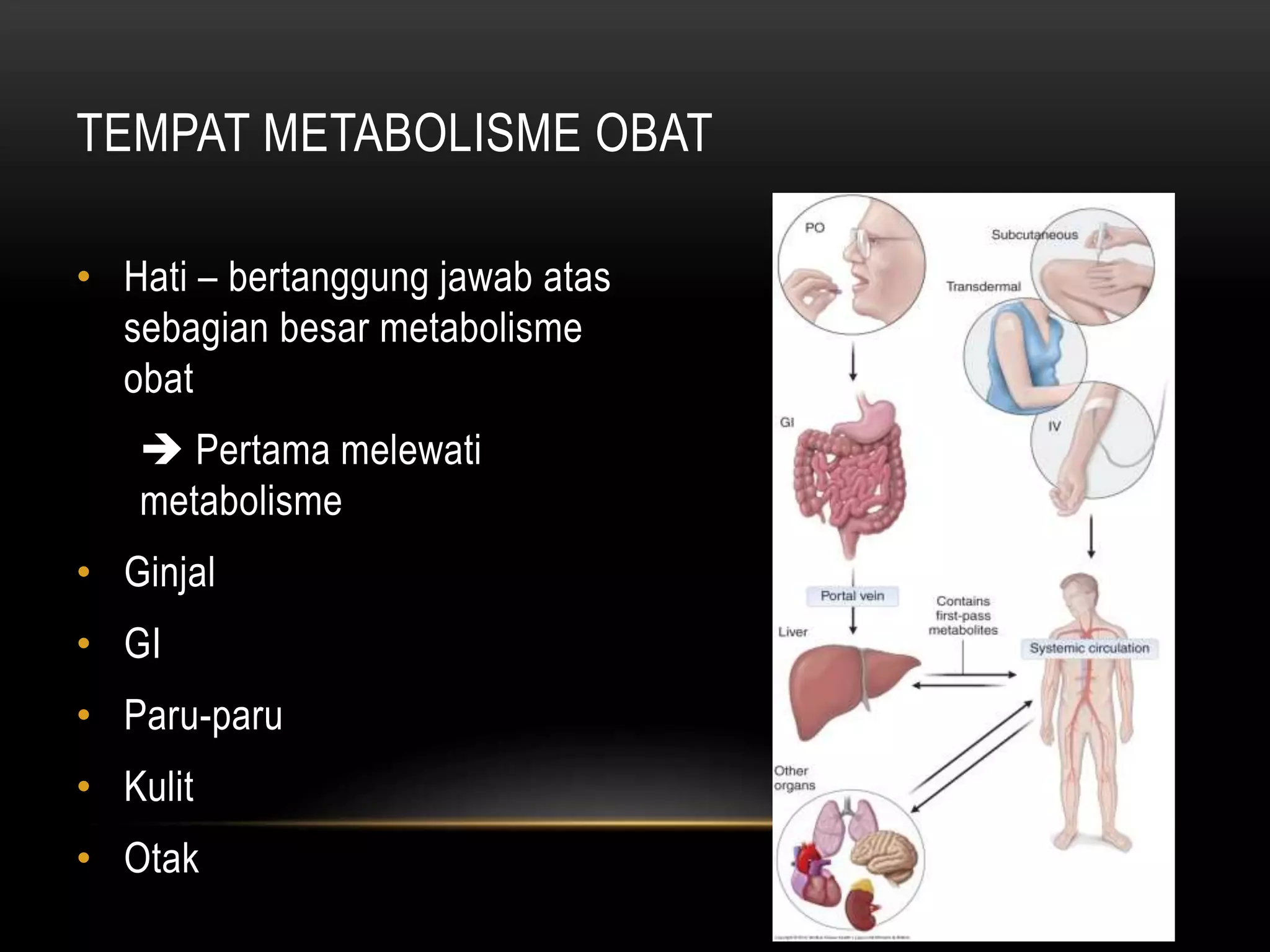 METABOLISME OBAT.en.id.pptx