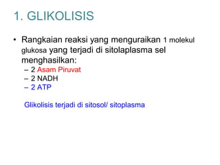 Metabolisme pertemuan 2 | PDF