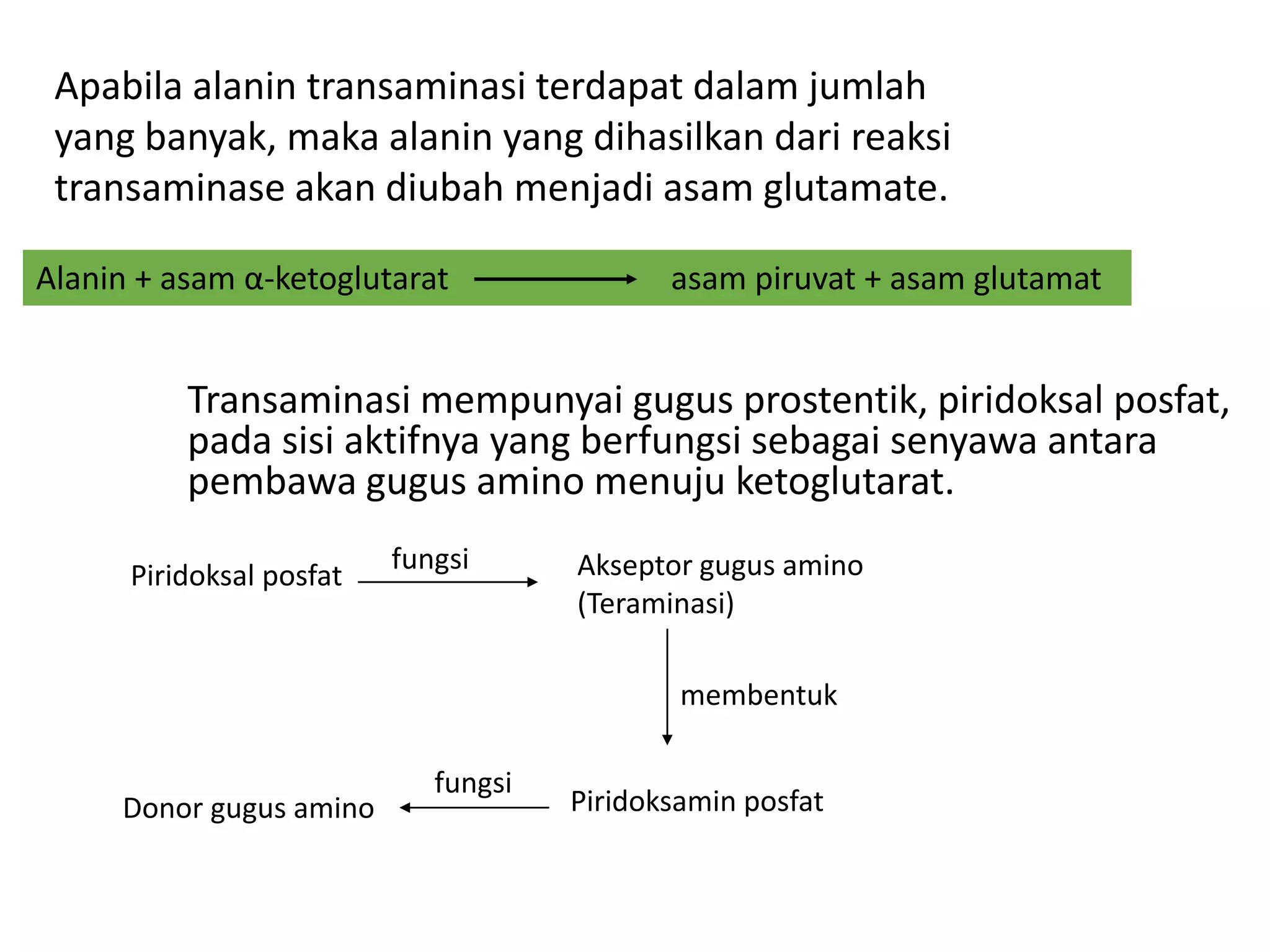 Metabolisme protein Transaminasi dan deaminasi | PPTX