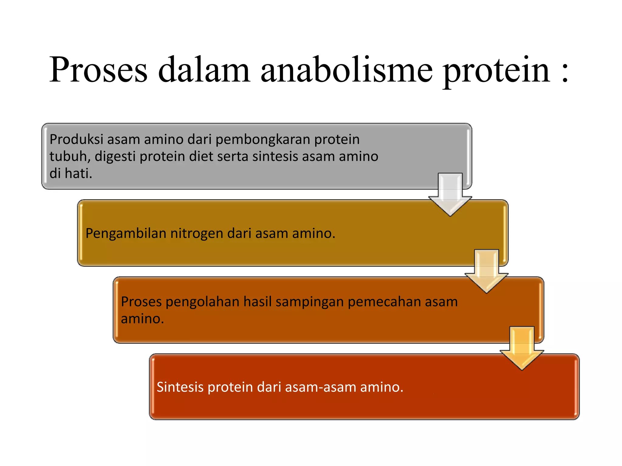 Metabolisme protein Transaminasi dan deaminasi | PPTX