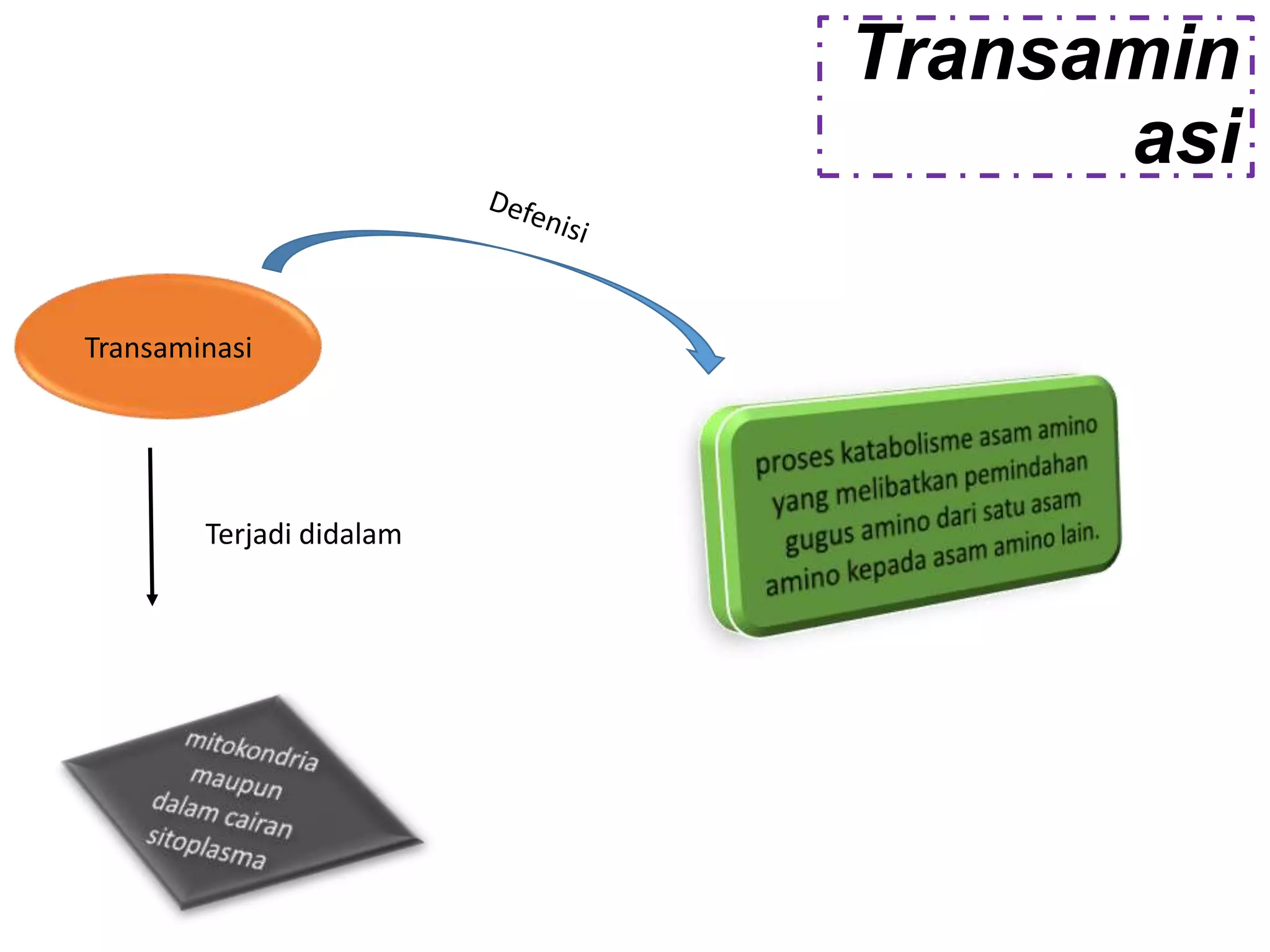 Metabolisme protein Transaminasi dan deaminasi | PPTX