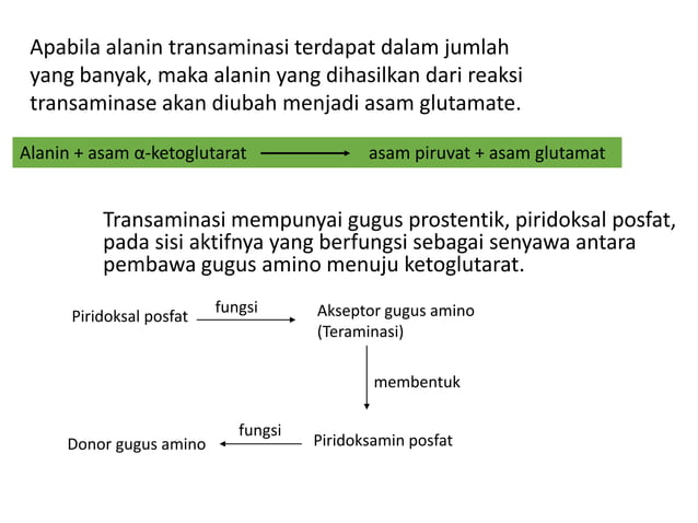 Metabolisme protein Transaminasi dan deaminasi | PPTX
