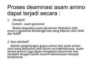 Metabolisme protein Transaminasi dan deaminasi | PPTX