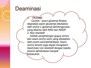 Metabolisme protein | PPT