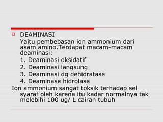 Metabolisme protein | PPT