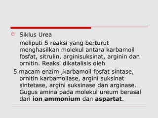 Metabolisme protein | PPT