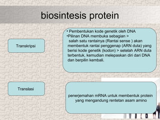 Metabolisme protein | PPT