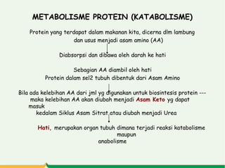 MATERI METABOLISME PROTEIN DAN ASAM AMINO.pptx