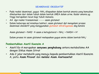 METABOLISME PROTEn materi kelas biokimia | PDF