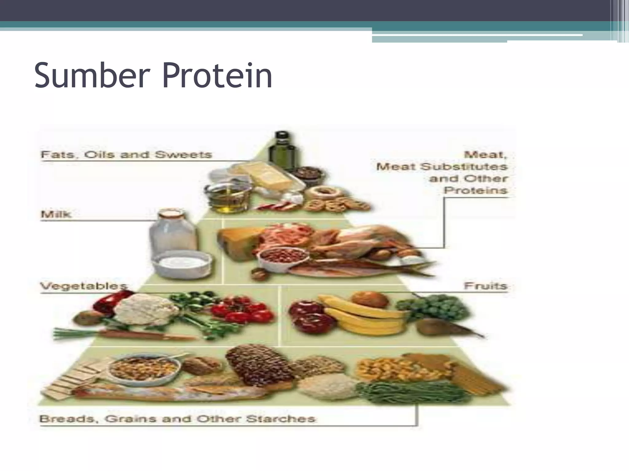 Metabolisme protein (5) | PPTX