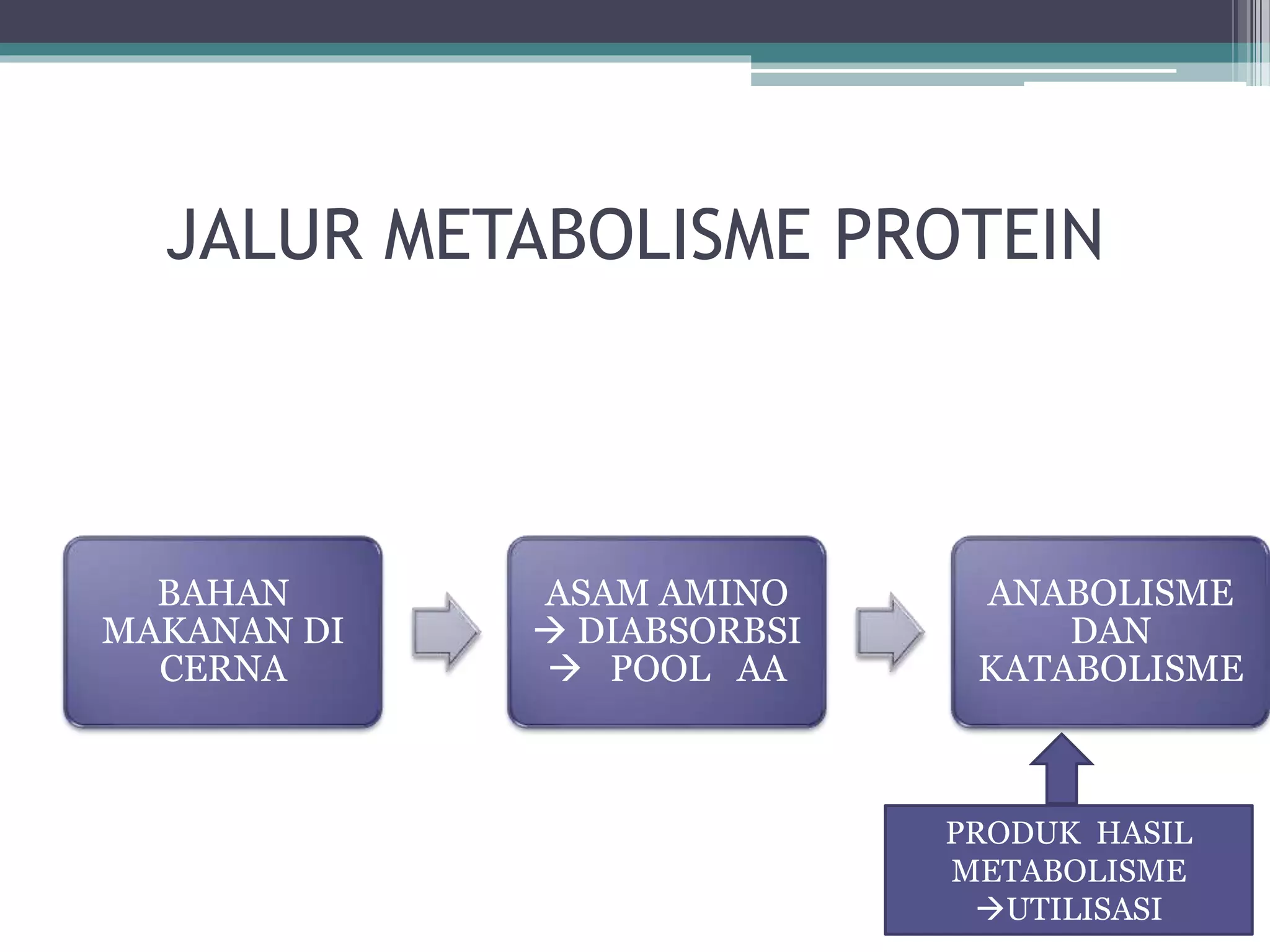 Metabolisme protein (5) | PPTX