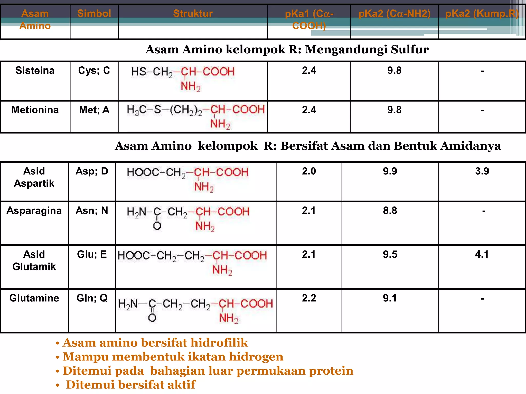 Metabolisme protein (5) | PPTX