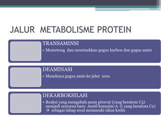 Metabolisme protein (5) | PPTX