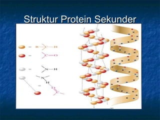 Metabolisme protein dan asam amino | PPT