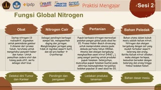 Metabolisme Protein dan Sulfur PM ke-10.pptx