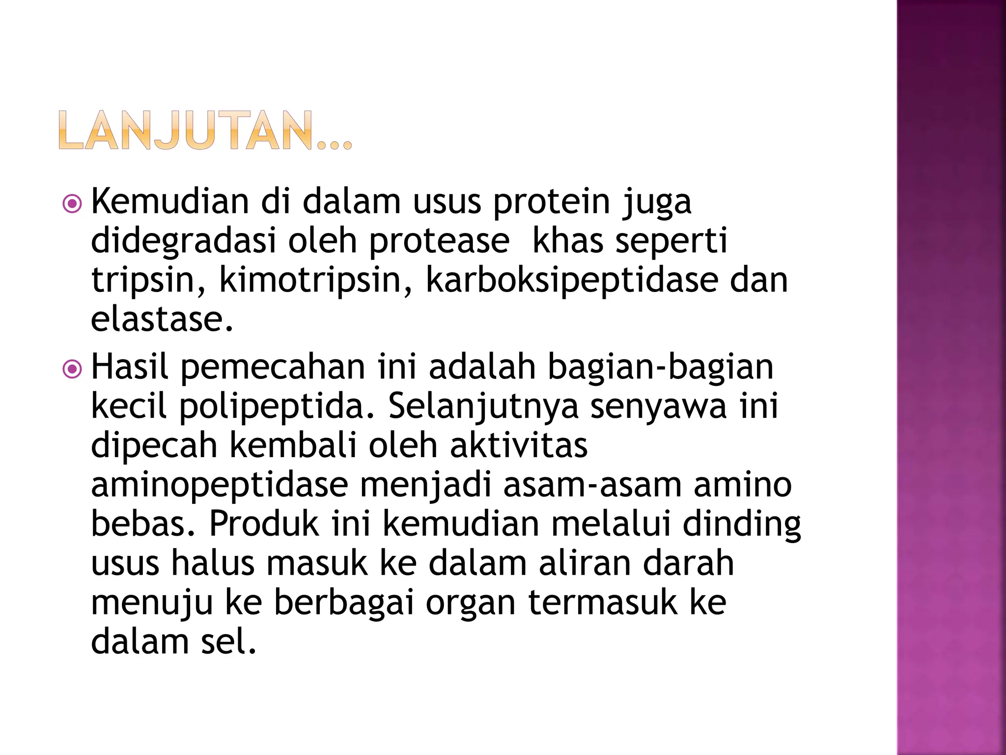 AaaaaaaMETABOLISME_PROTEIN_by_febri.pptx