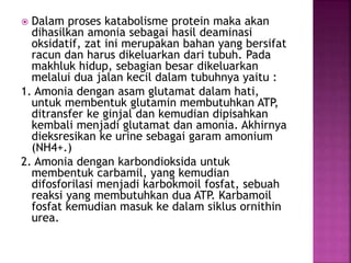 AaaaaaaMETABOLISME_PROTEIN_by_febri.pptx