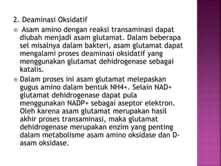 AaaaaaaMETABOLISME_PROTEIN_by_febri.pptx