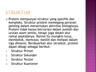 AaaaaaaMETABOLISME_PROTEIN_by_febri.pptx