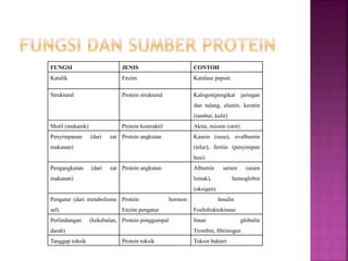 AaaaaaaMETABOLISME_PROTEIN_by_febri.pptx