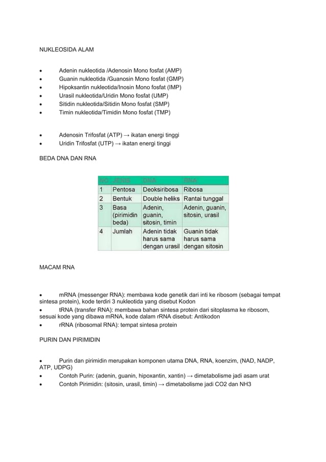 Metabolisme purin dan pirimidin | PDF