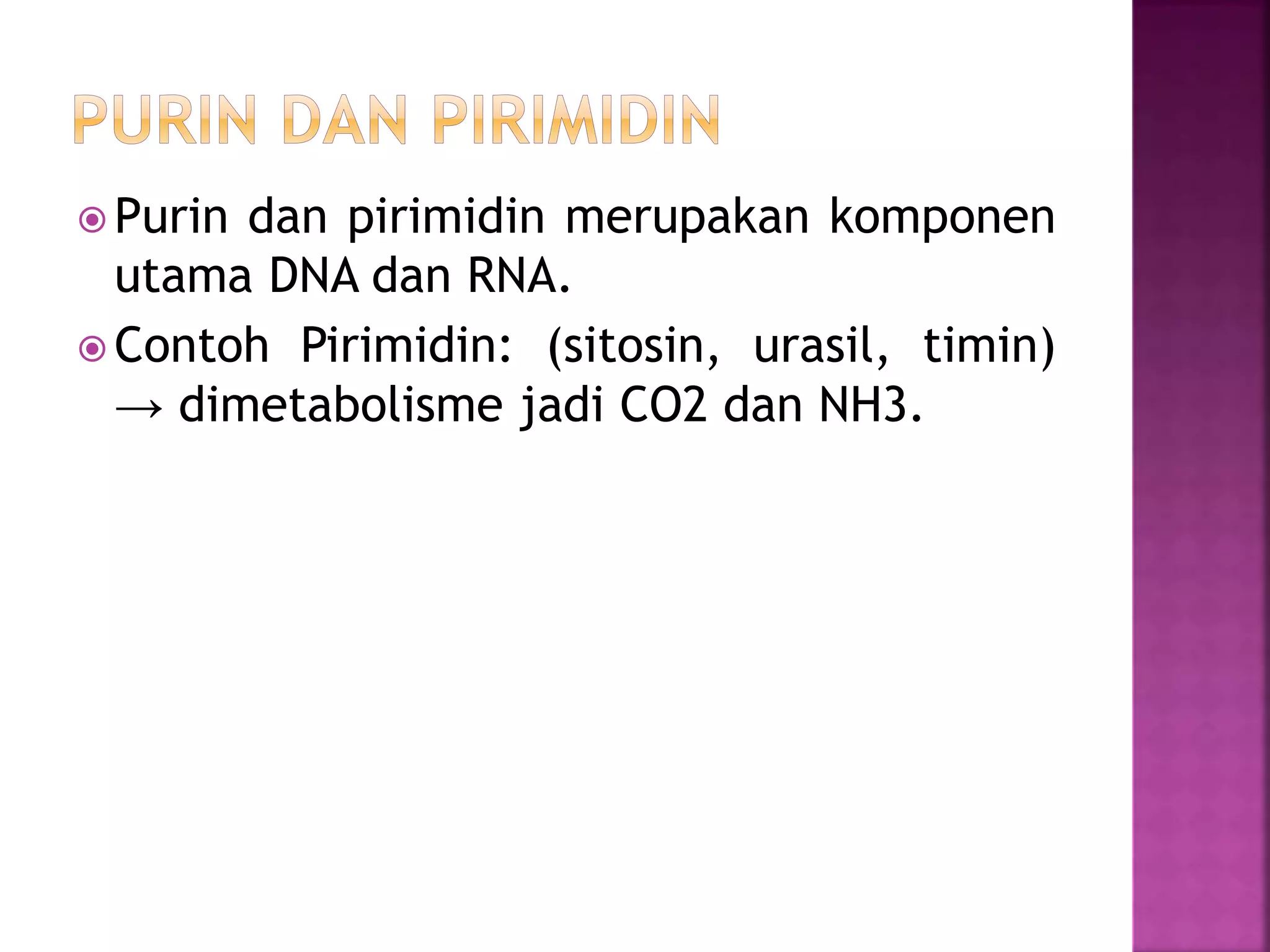 Metabolisme purin dan pirimidin.pptx