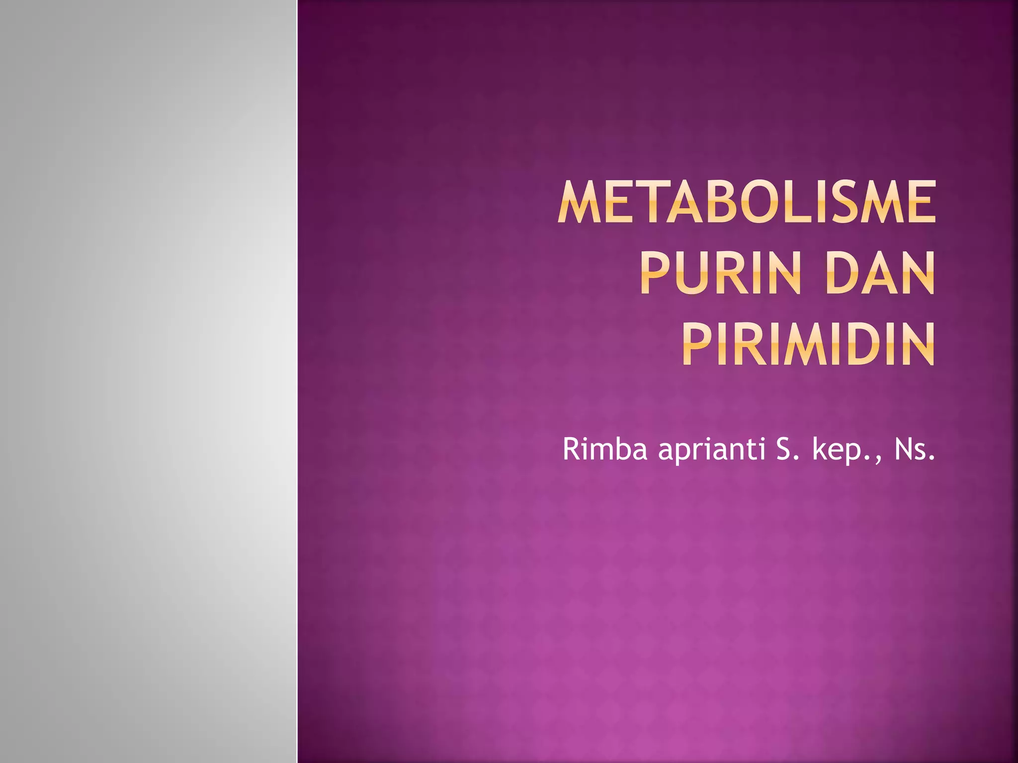 PURINPIRIMIDIN | PPT