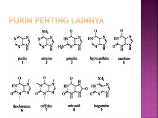 Metabolisme purin dan pirimidin.pptx