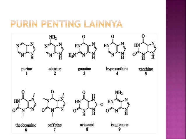 Metabolisme purin dan pirimidin.pptx