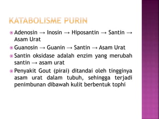 Metabolisme purin dan pirimidin.pptx