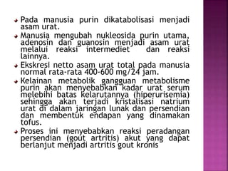 Metabolisme purin dan pirimidin.pptx