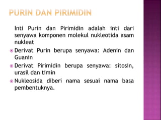 Metabolisme purin dan pirimidin.pptx