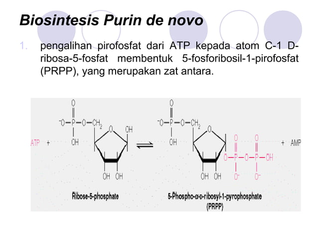 Metabolisme Purin Primidin | PPT