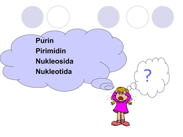 Metabolisme Purin Primidin | PPT