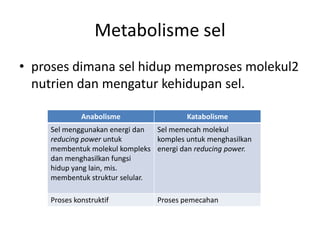 Metabolisme sel | PPTX