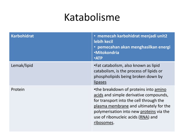 Metabolisme sel | PPTX