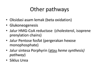 Metabolisme sel | PPTX