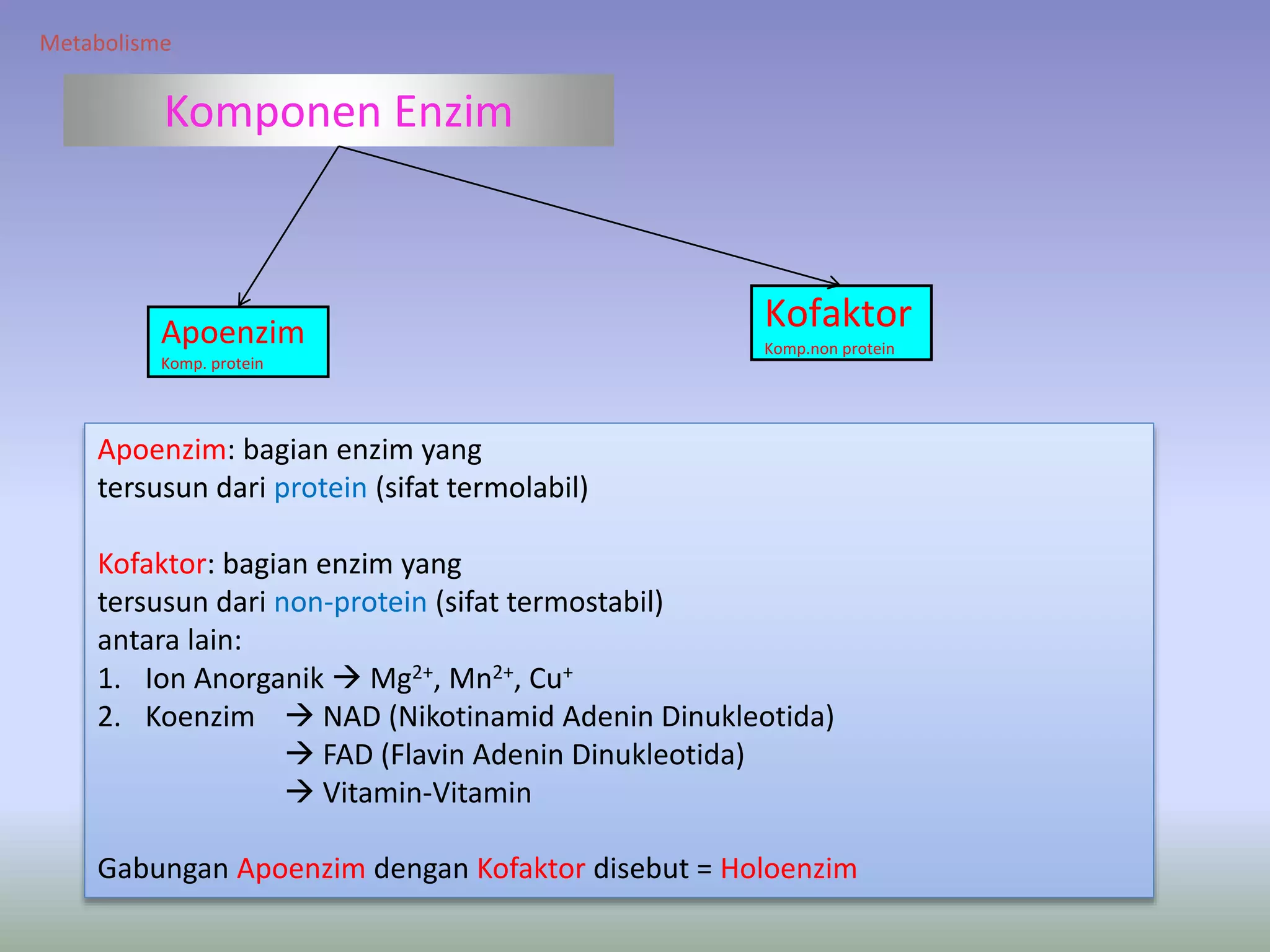 Metabolisme sel | PPTX