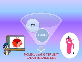 Metabolisme sel | PPTX