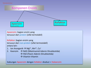 Metabolisme sel | PPTX